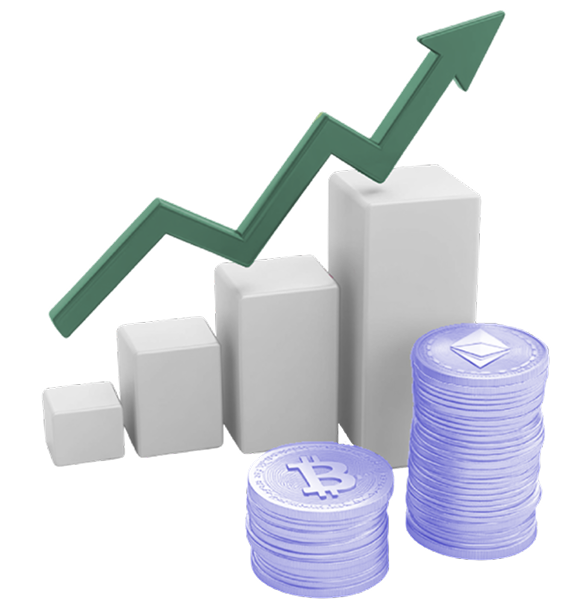 Steelmont Elitex | The Official Online Home 2025